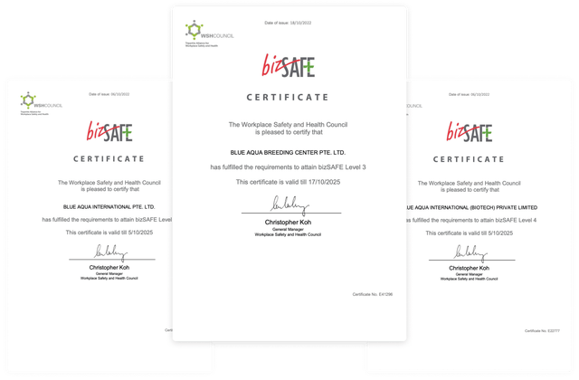 sustainability commitment - Blue Aqua